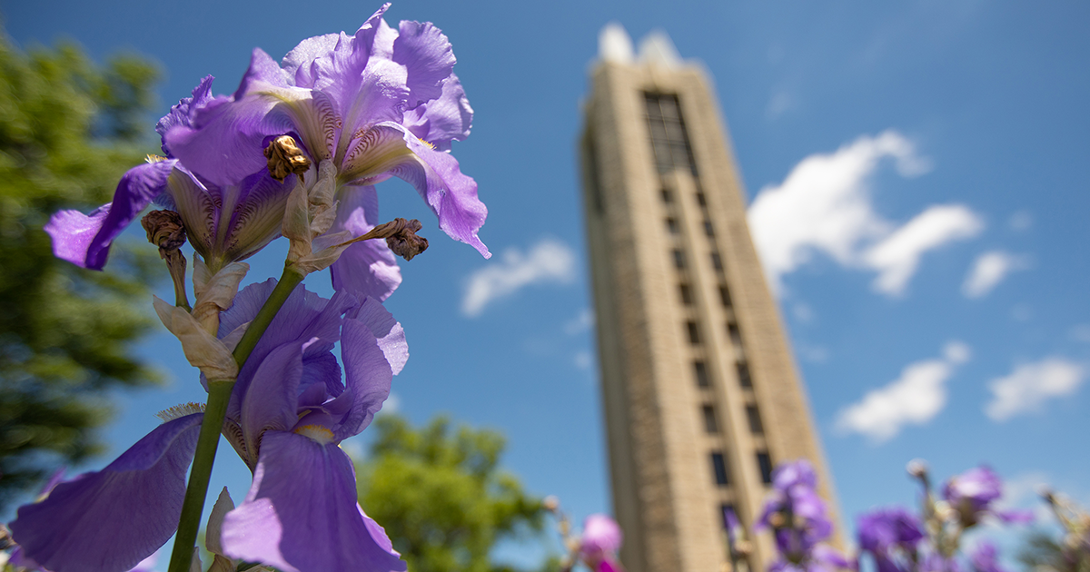 Rachel Teague | KU CARE Services